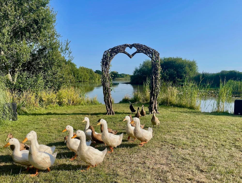 Our Gallery - EpiCatering